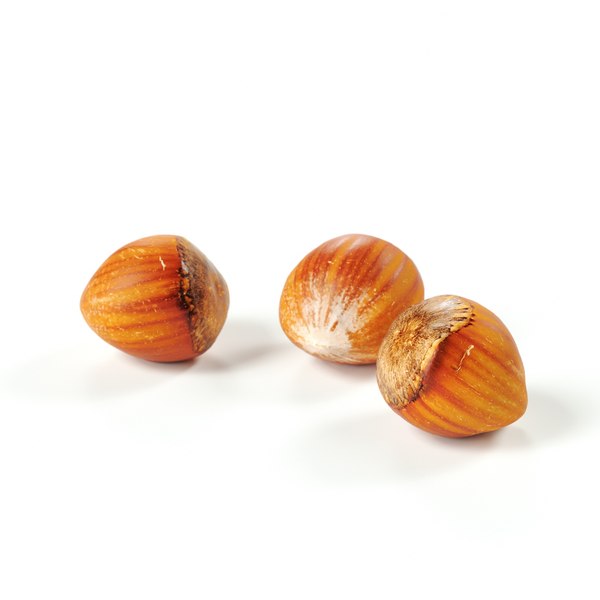 POLYPASTA - Hazelnut 01 3D - TurboSquid 1823869