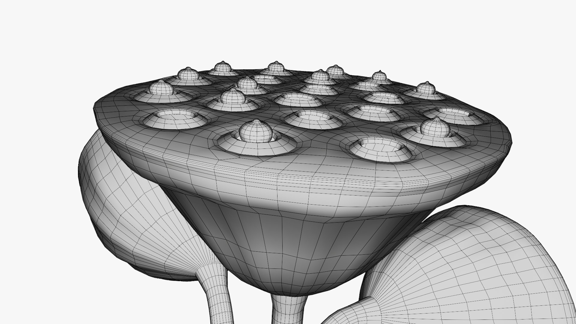 Lotus Seed Pods 3D Model - TurboSquid 2002294