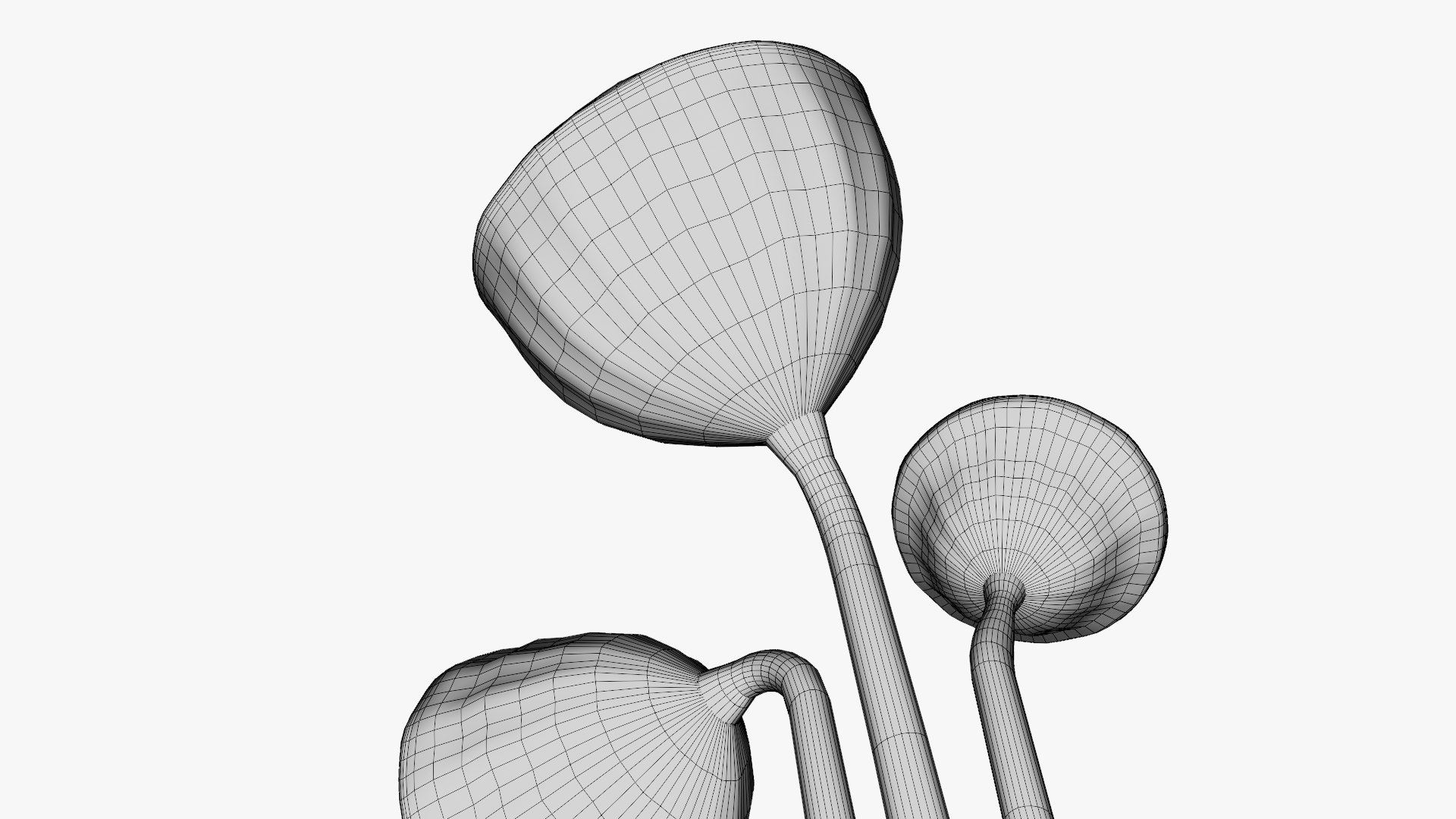 Lotus Seed Pods 3D Model - TurboSquid 2002294