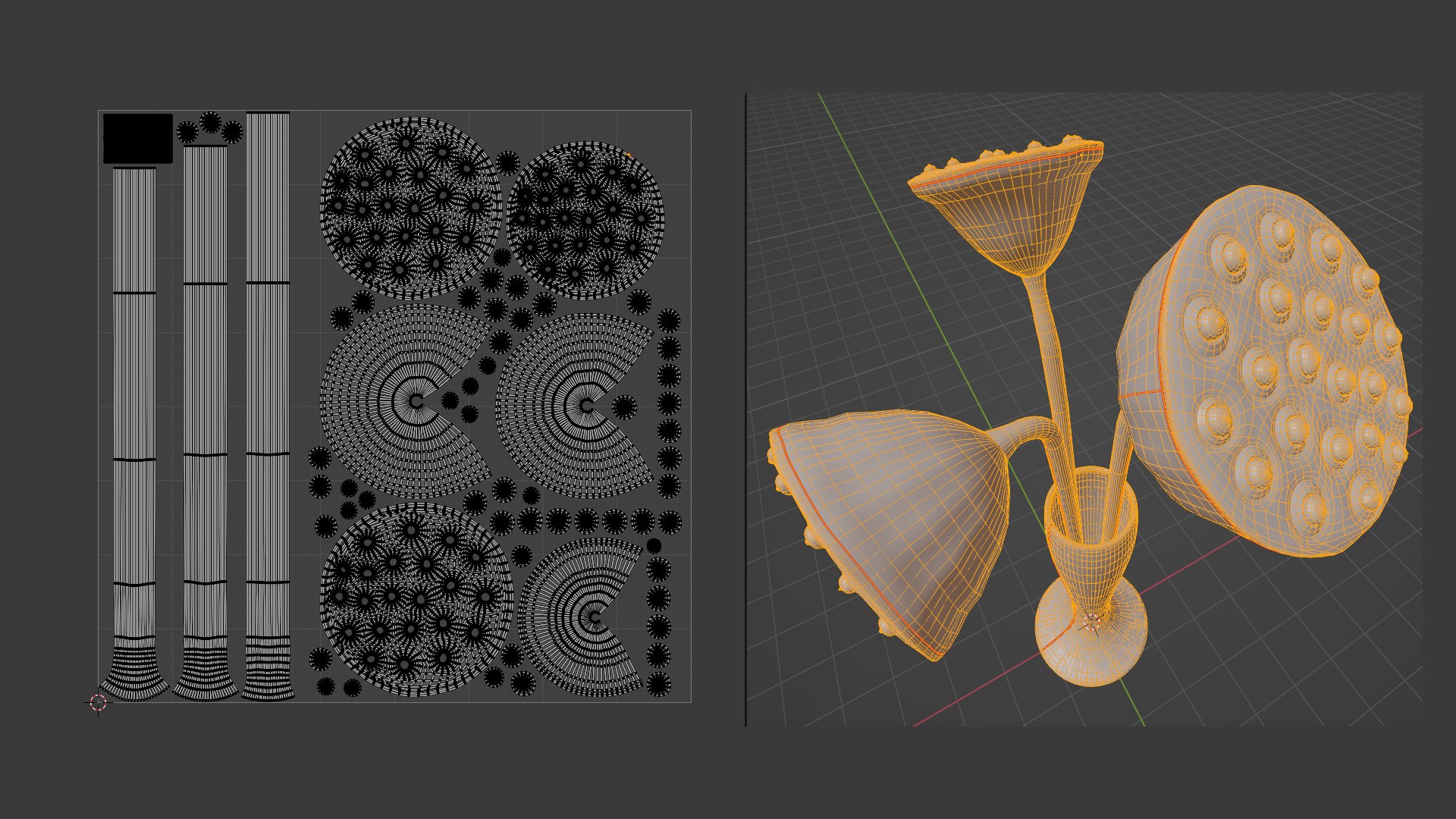 Lotus Seed Pods 3D Model - TurboSquid 2002294