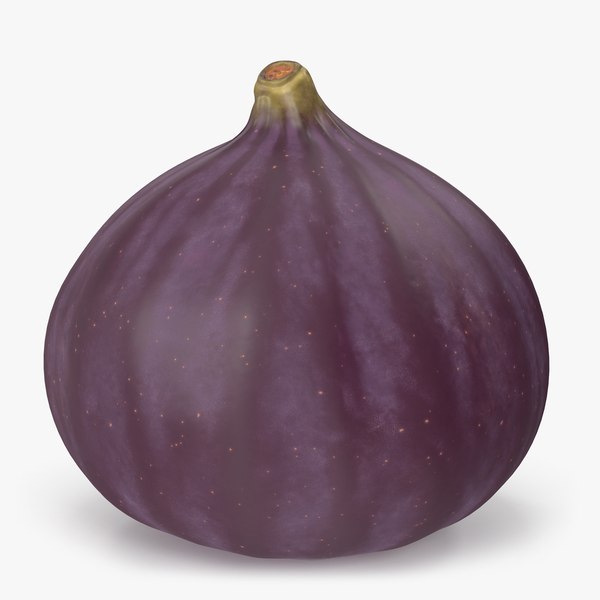 3D Fig Models | TurboSquid