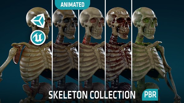 Anatomy Skeleton Unity Models for Download | TurboSquid