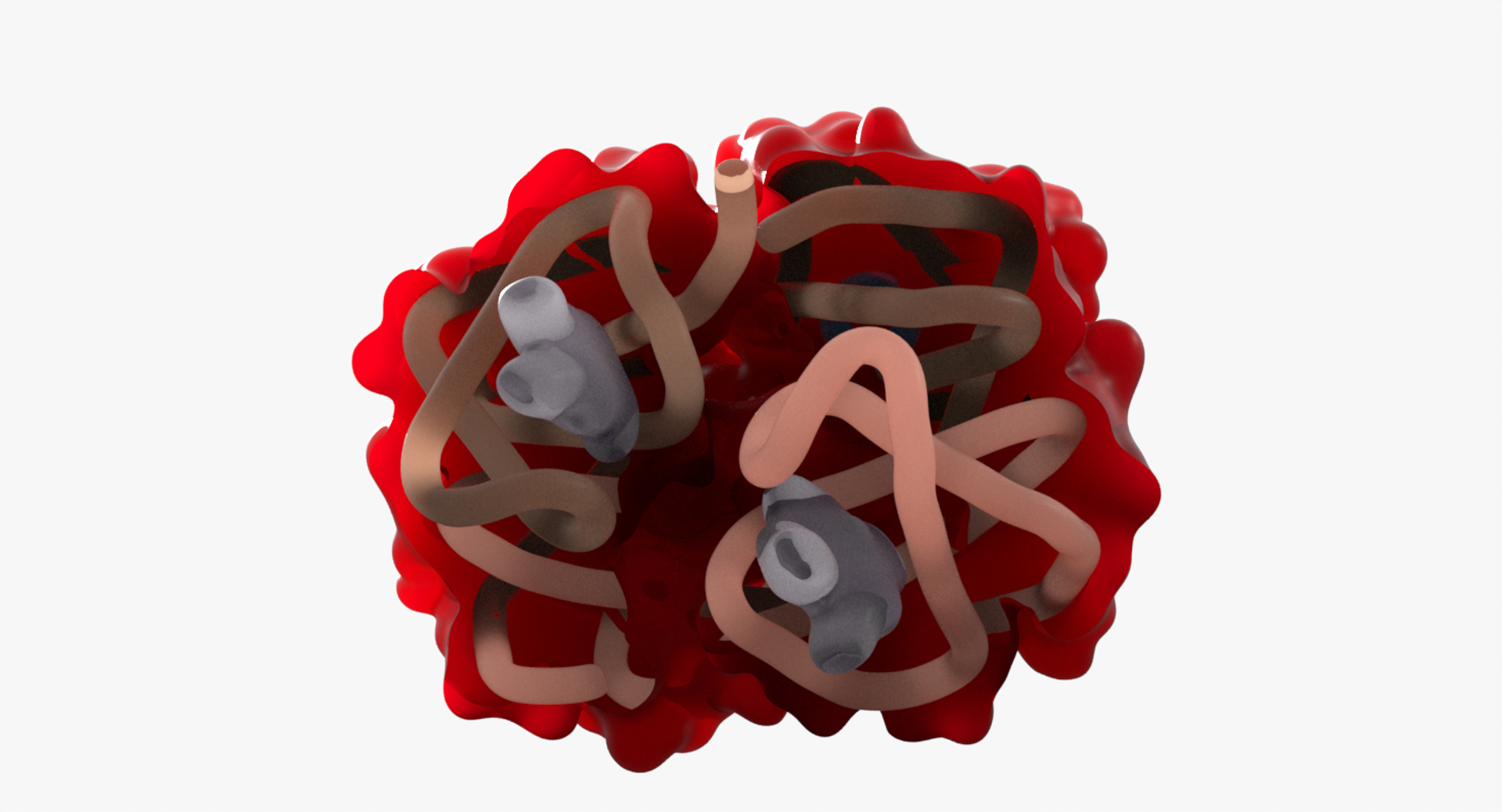 3D Hemoglobin Haemoglobin Protein Structure Model - TurboSquid 1296332