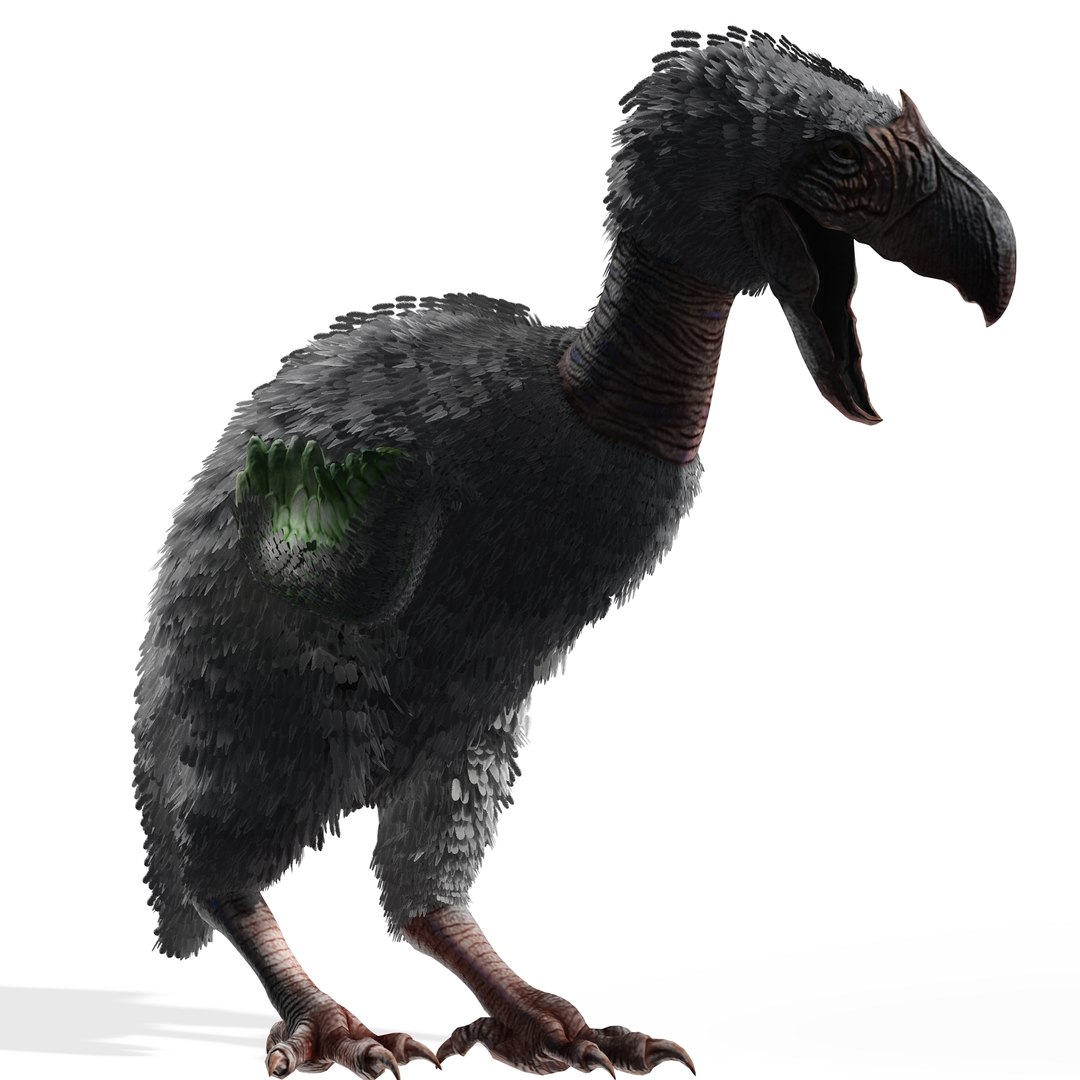 DINOSAUR TERROR BIRD 3D model - TurboSquid 2156354