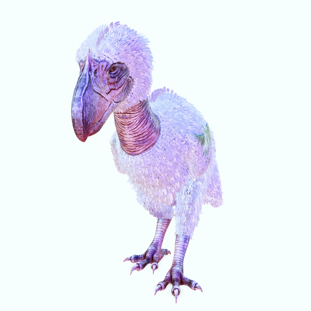 DINOSAUR TERROR BIRD 3D model - TurboSquid 2156354