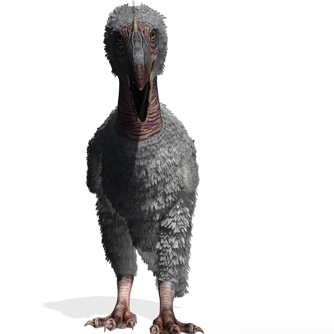 DINOSAUR TERROR BIRD 3D model - TurboSquid 2156354
