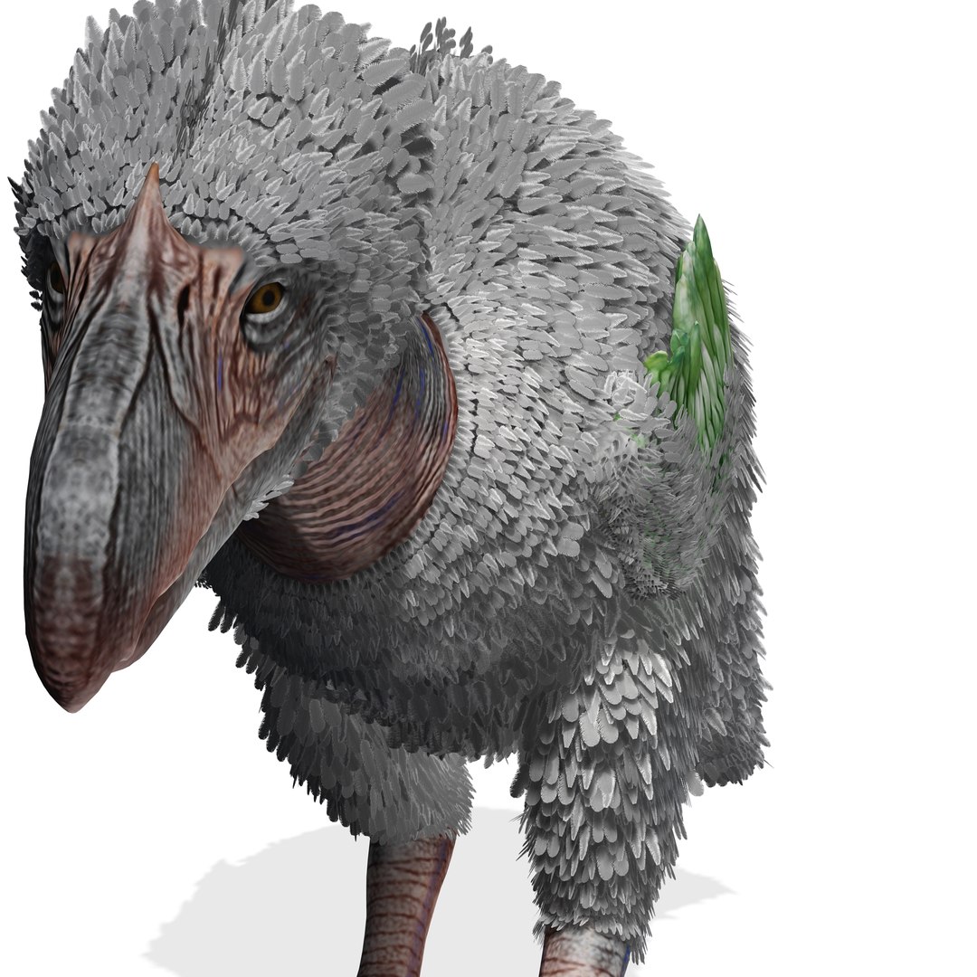 DINOSAUR TERROR BIRD 3D model - TurboSquid 2156354