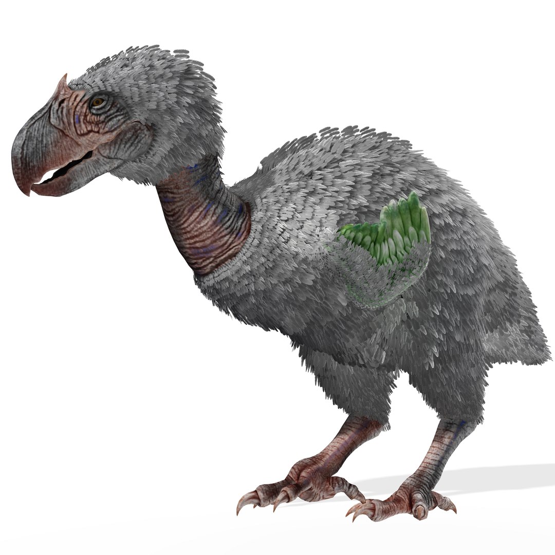 DINOSAUR TERROR BIRD 3D model - TurboSquid 2156354