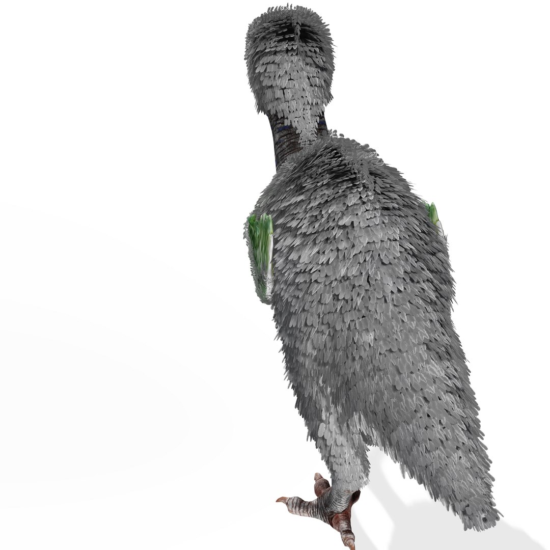 DINOSAUR TERROR BIRD 3D model - TurboSquid 2156354