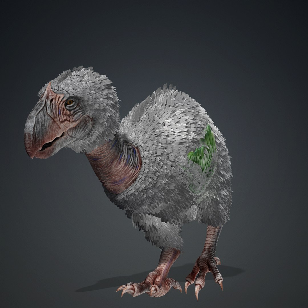 DINOSAUR TERROR BIRD 3D model - TurboSquid 2156354