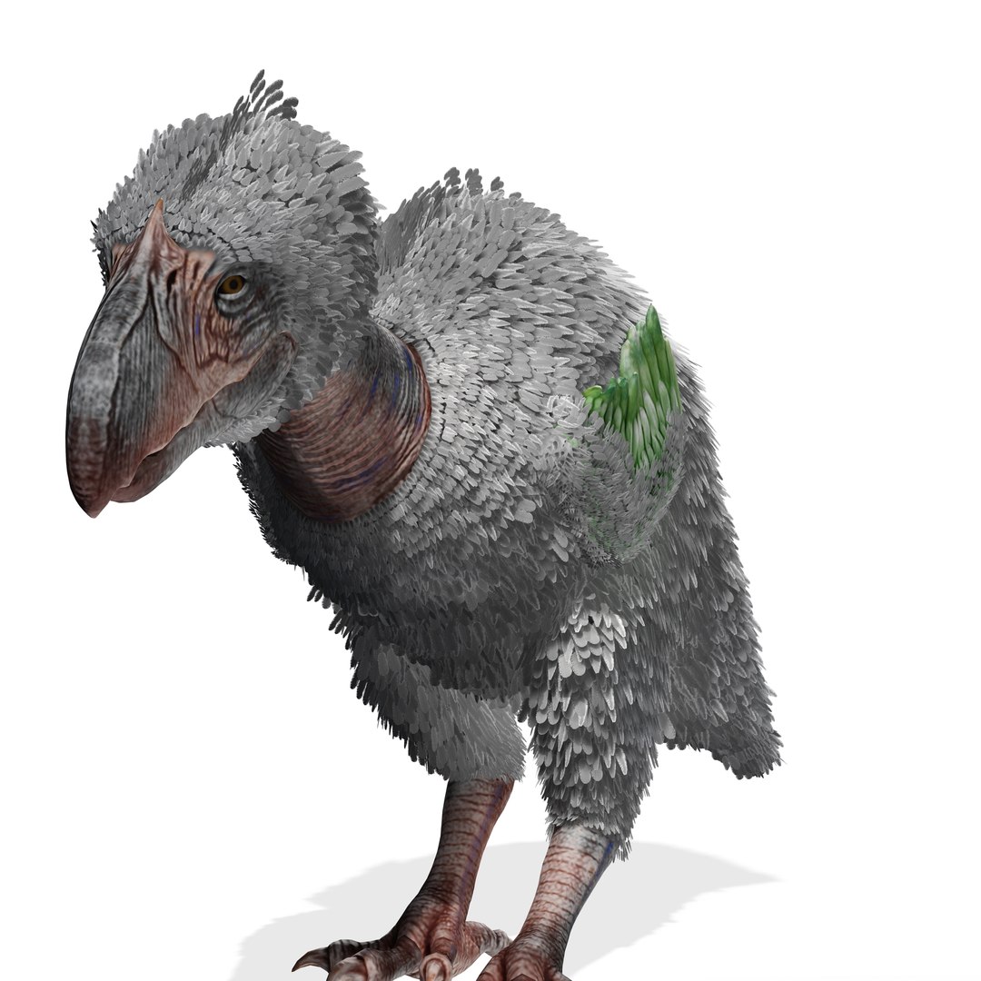 DINOSAUR TERROR BIRD 3D model - TurboSquid 2156354