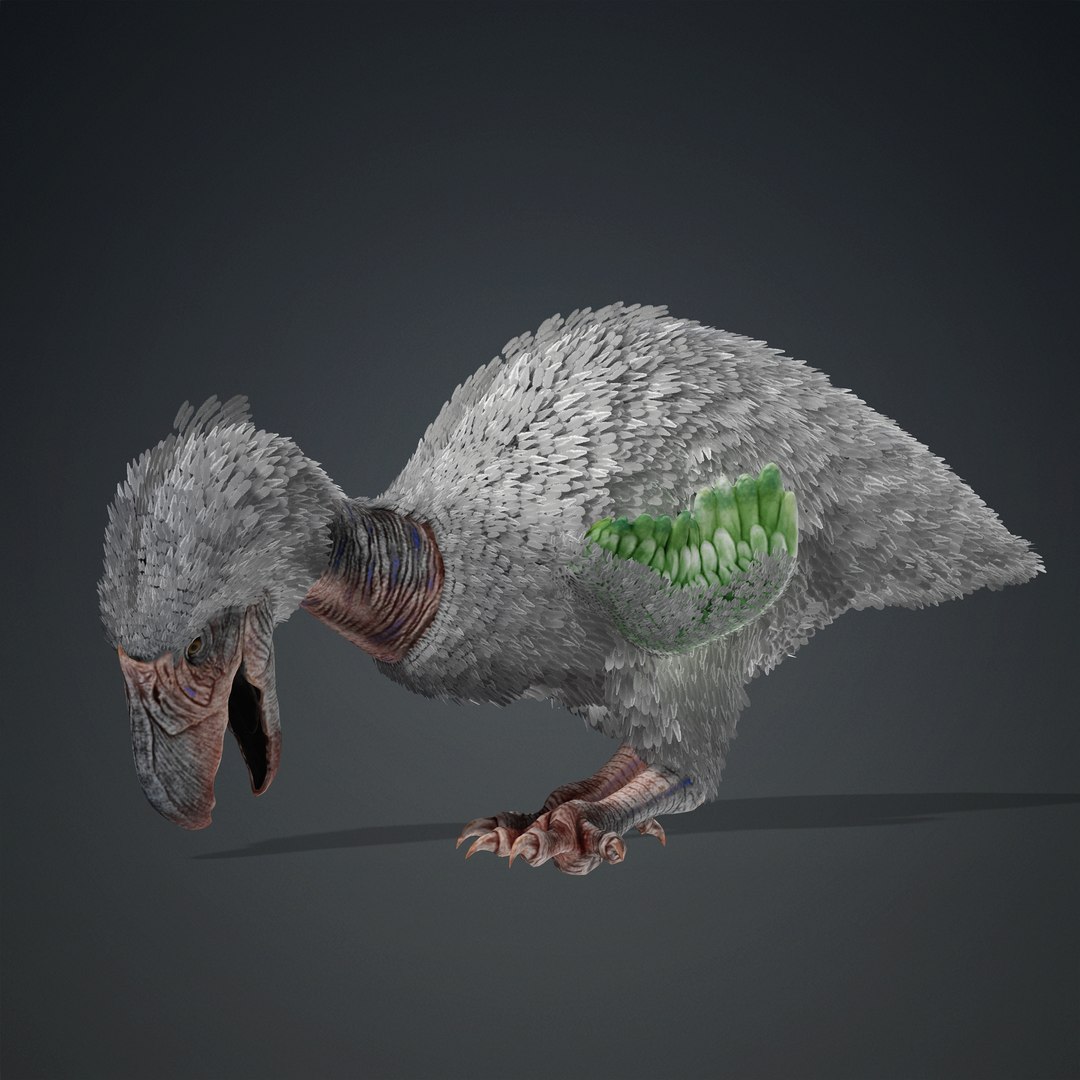 DINOSAUR TERROR BIRD 3D model - TurboSquid 2156354