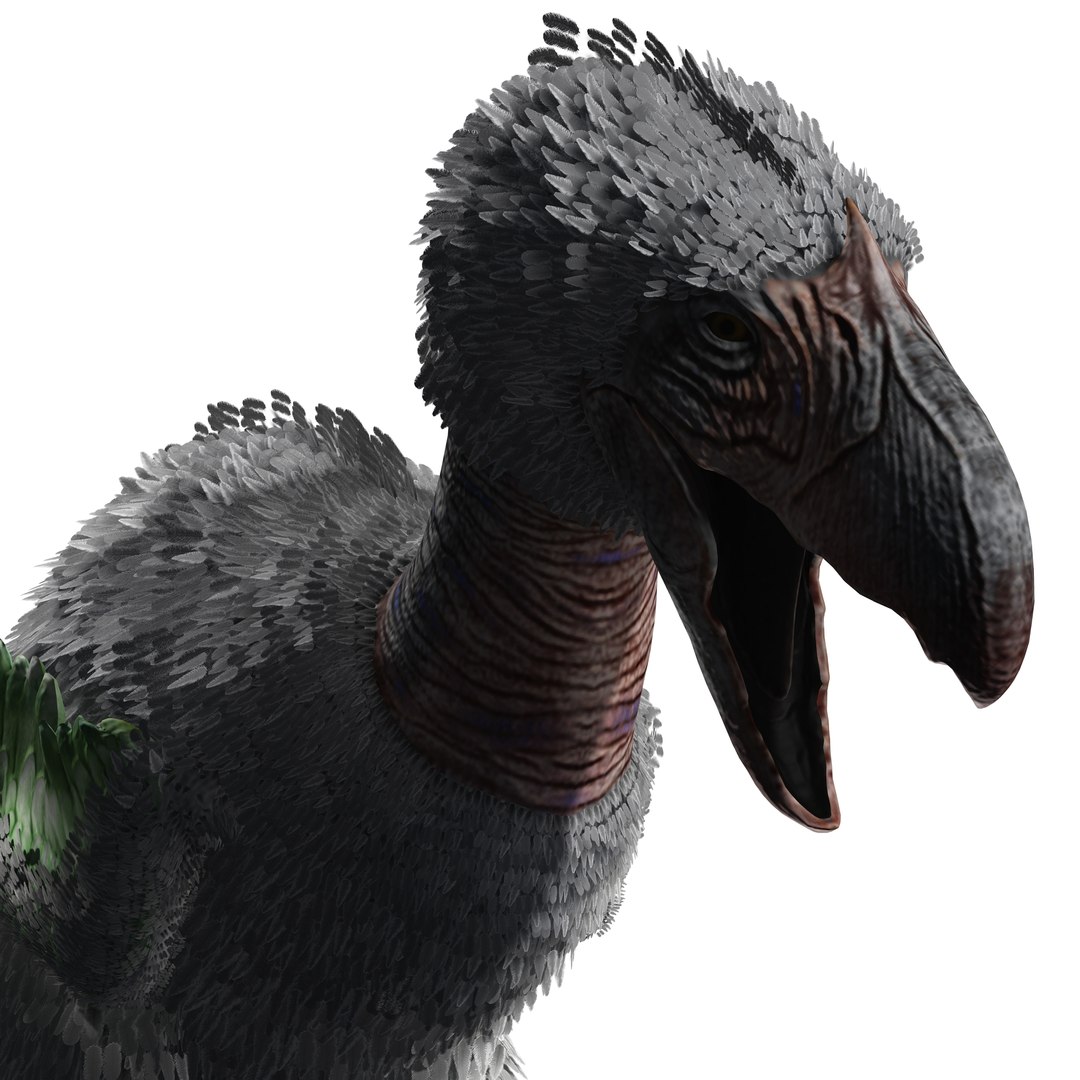 DINOSAUR TERROR BIRD 3D model - TurboSquid 2156354