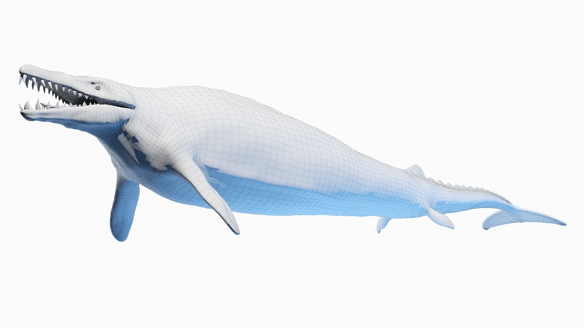 Basilosaurus Animated 3D - TurboSquid 1738655