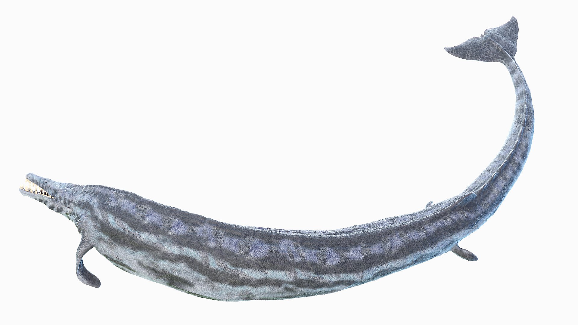 Basilosaurus Animated 3D - TurboSquid 1738655