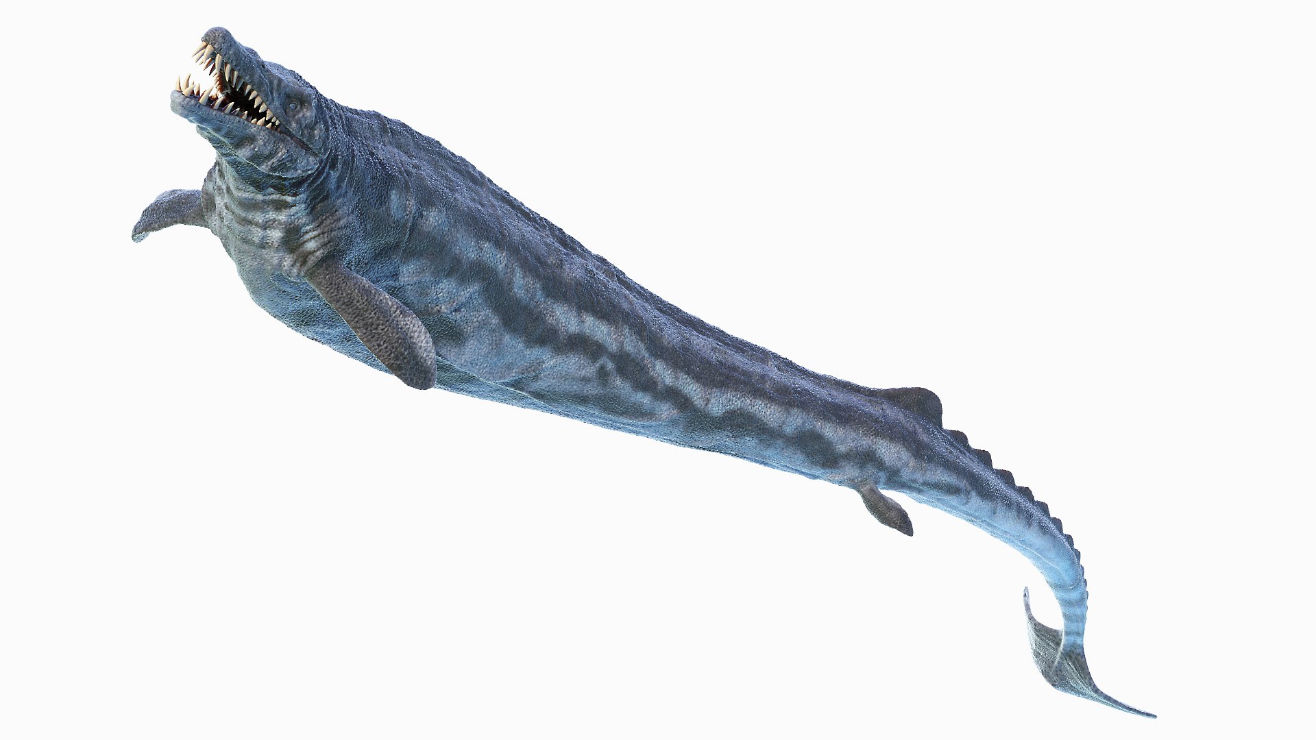 Basilosaurus Animated 3D - TurboSquid 1738655