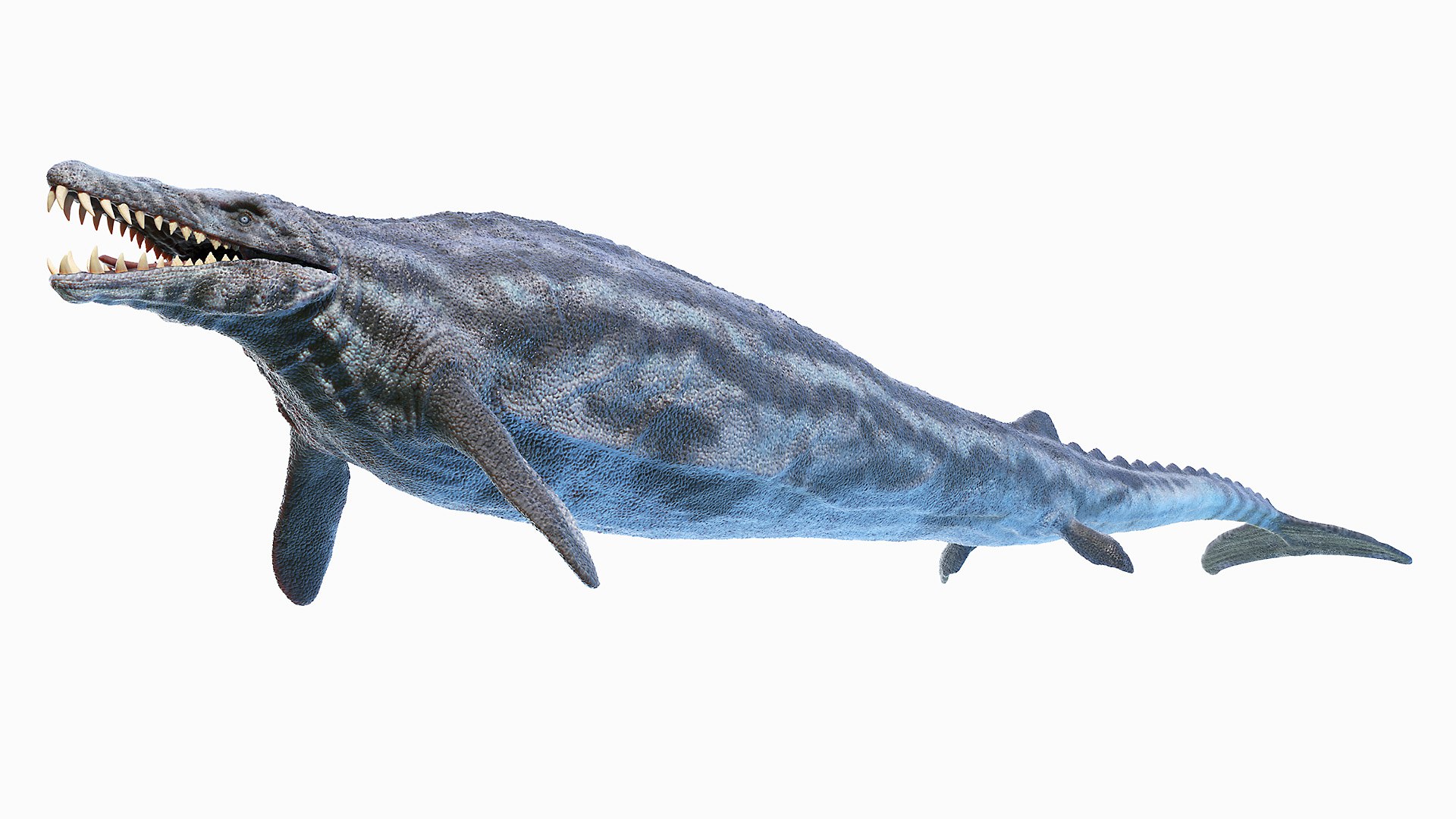 Basilosaurus Animated 3D - TurboSquid 1738655