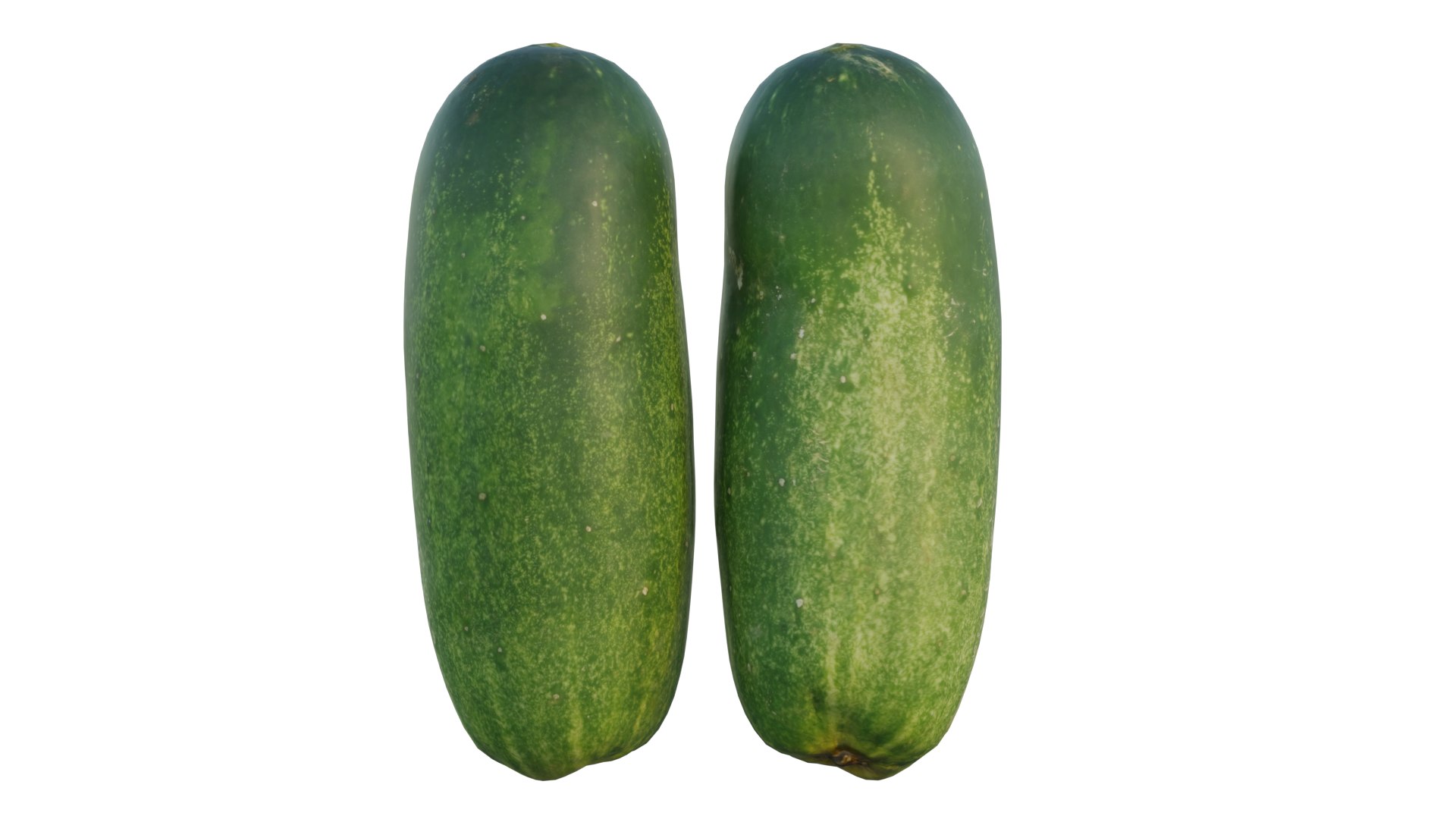 Cucumber 04 model - TurboSquid 1921173