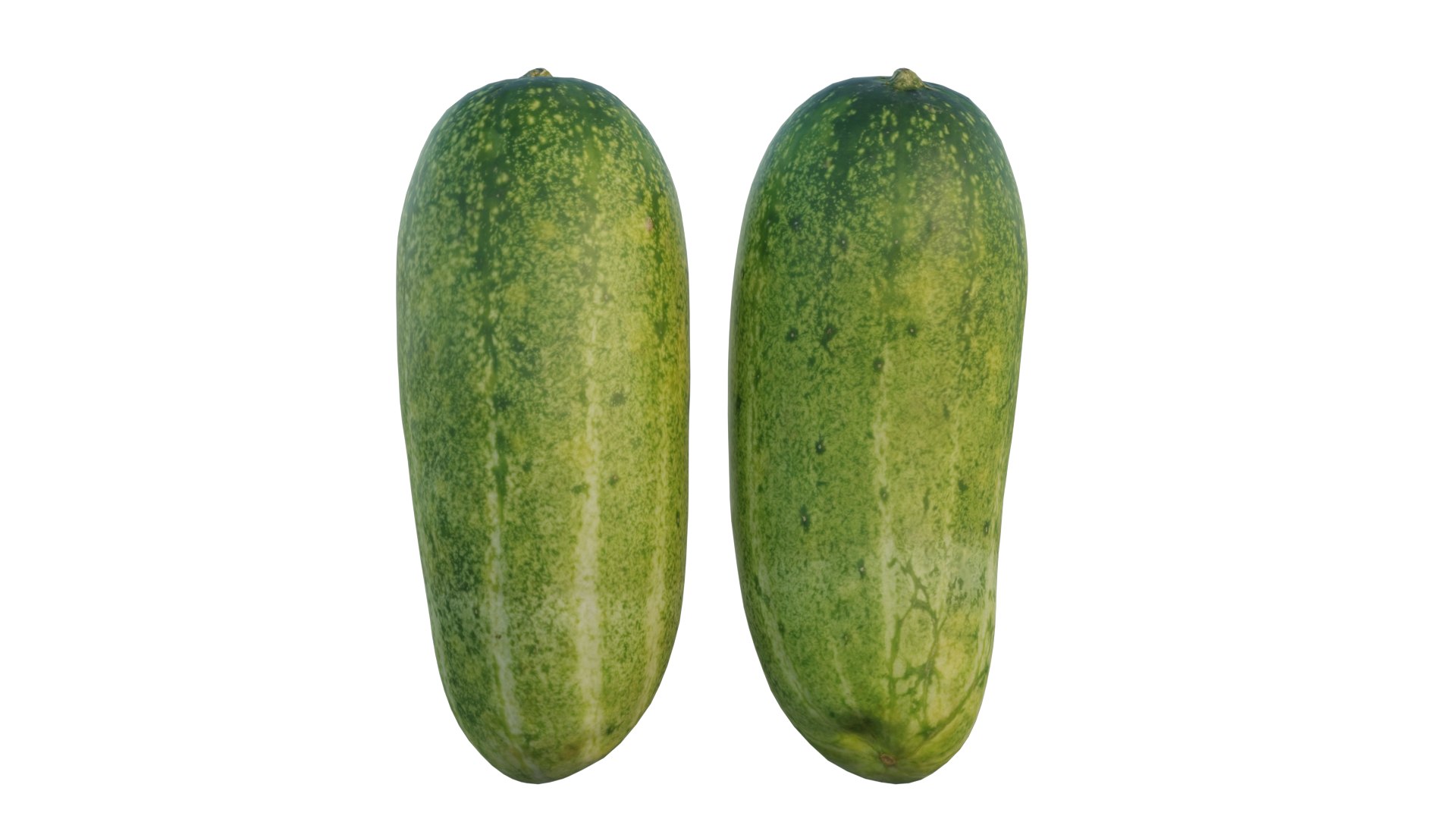 Cucumber 04 model - TurboSquid 1921173