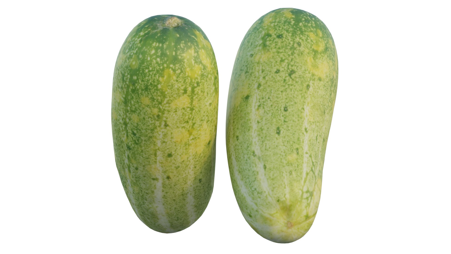Cucumber 04 model - TurboSquid 1921173