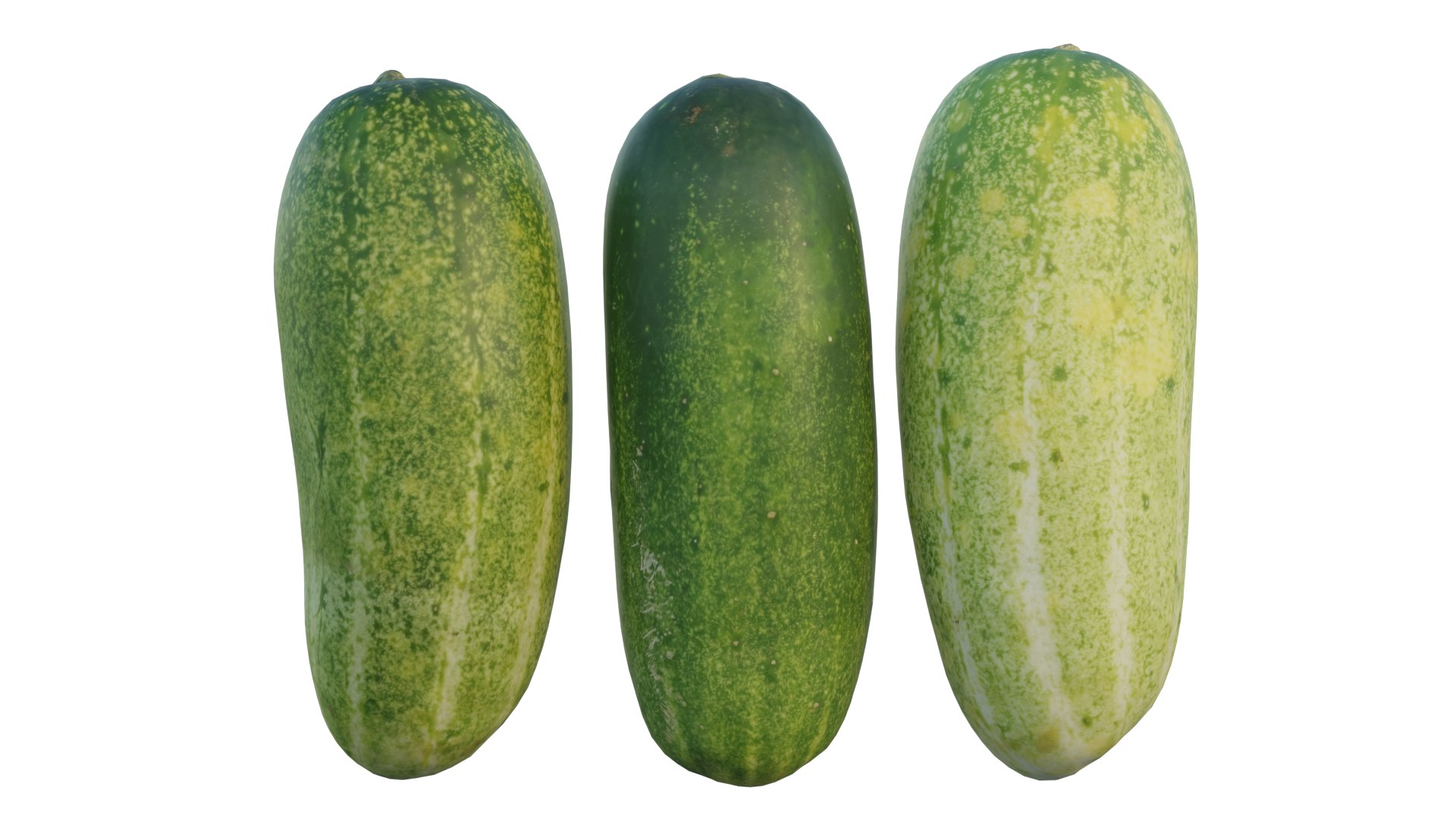 Cucumber 04 model - TurboSquid 1921173