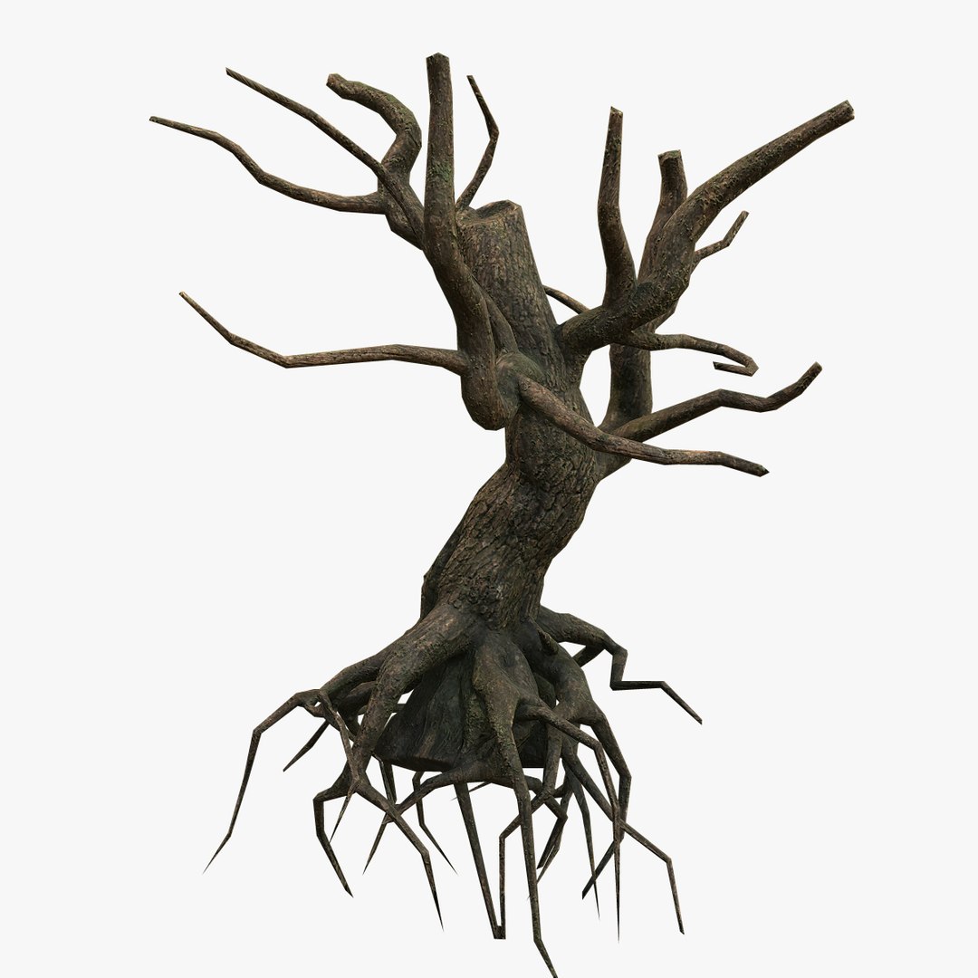 3D Dead Tree Roots - TurboSquid 1246725