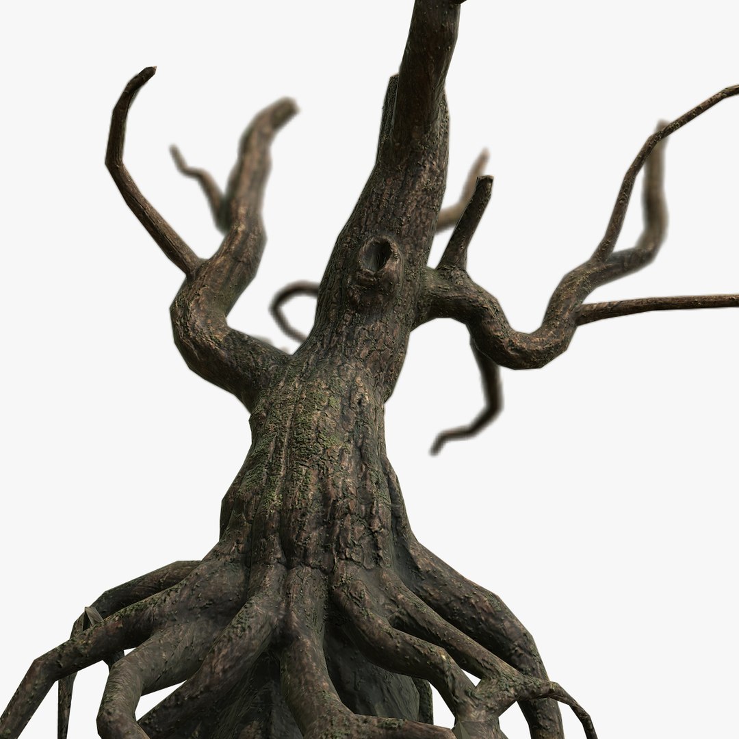 3D Dead Tree Roots - TurboSquid 1246725