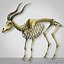 Goat Skeleton 3d Model