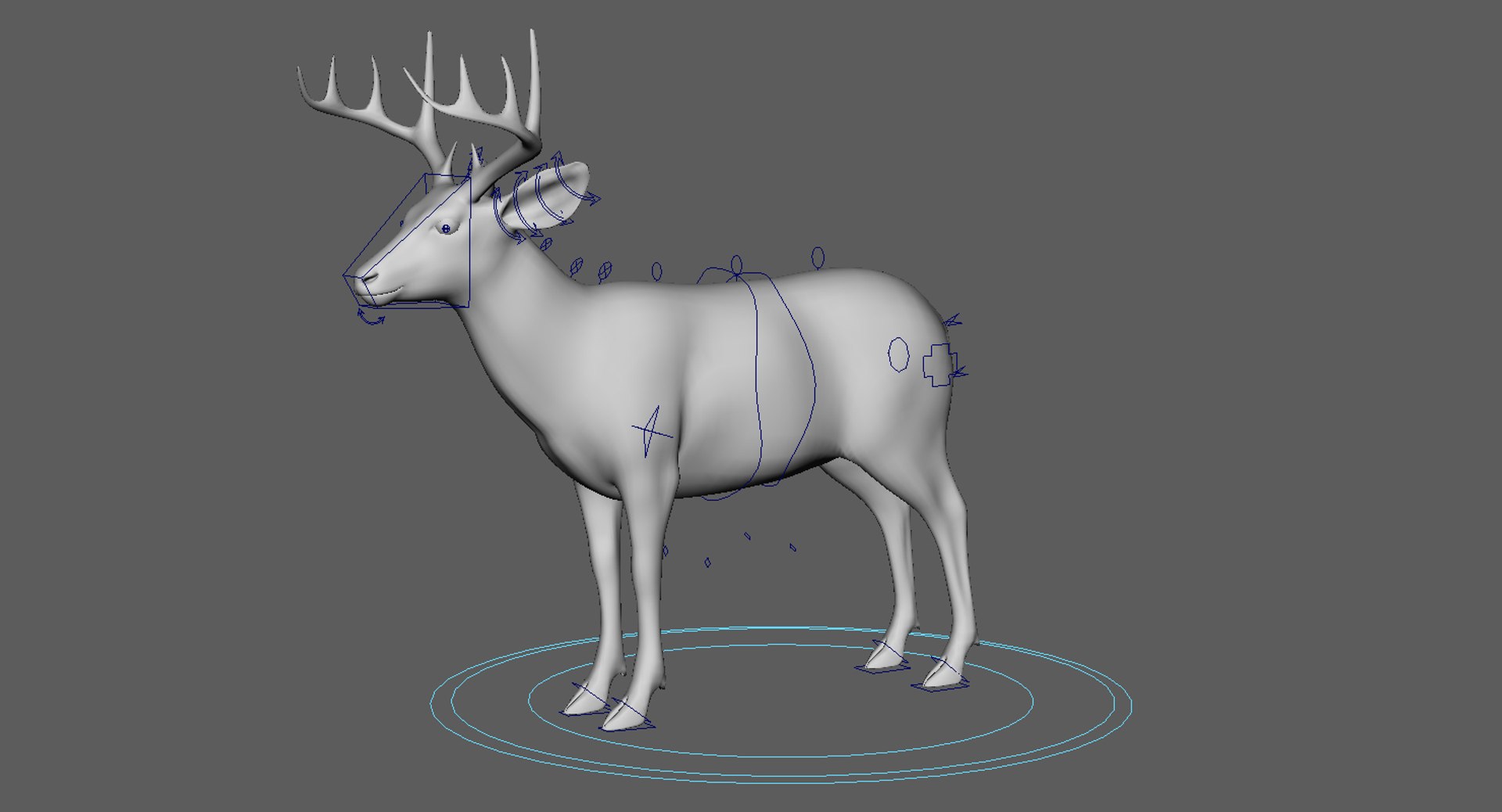 3d Model Deer Rigged 2 Fur