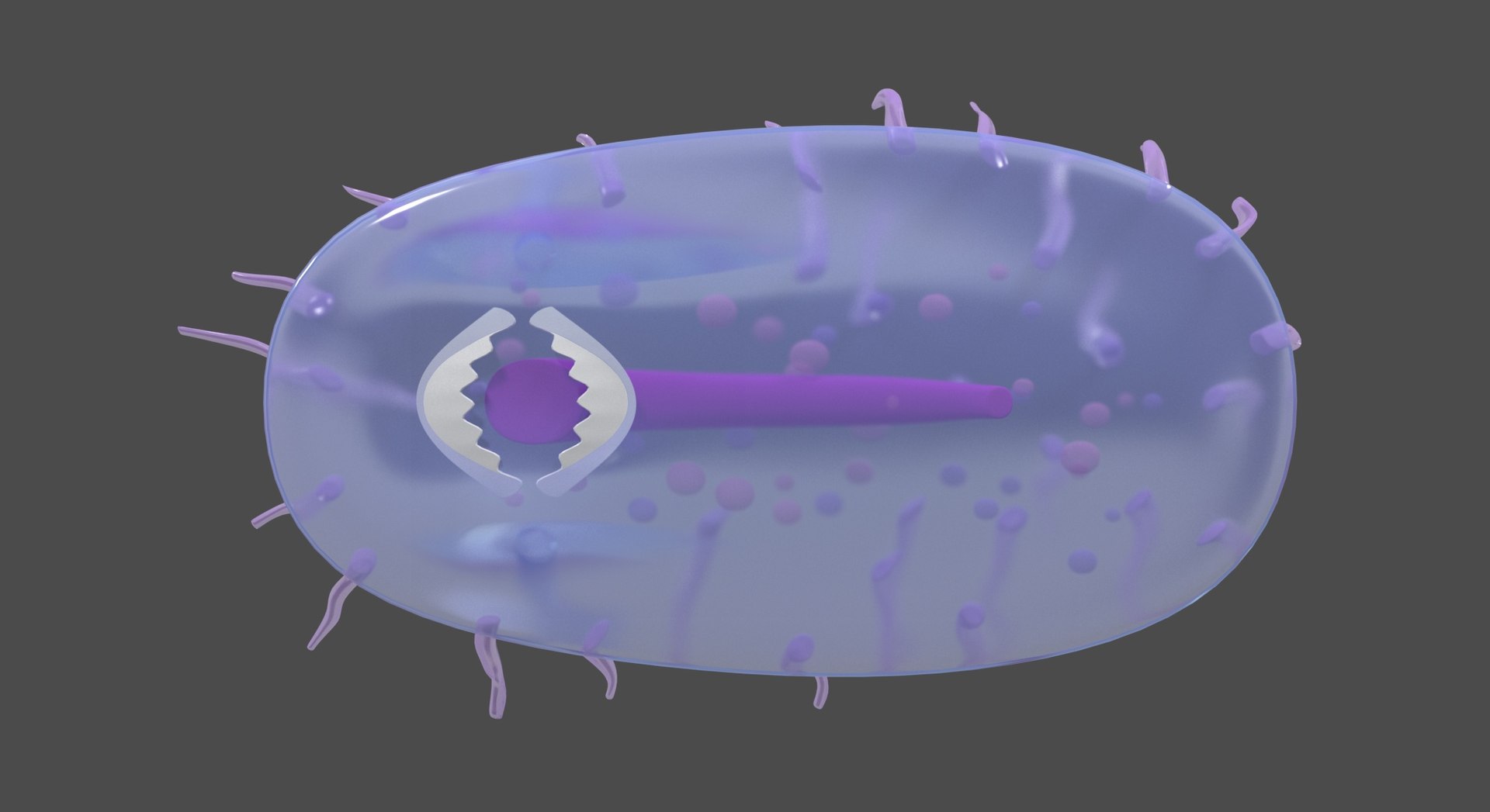 3D Cartoon Bacteria 3 Model - TurboSquid 1860751
