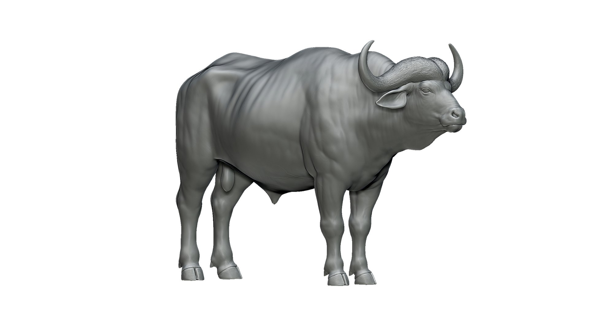 3D Model Buffalo - TurboSquid 2278227