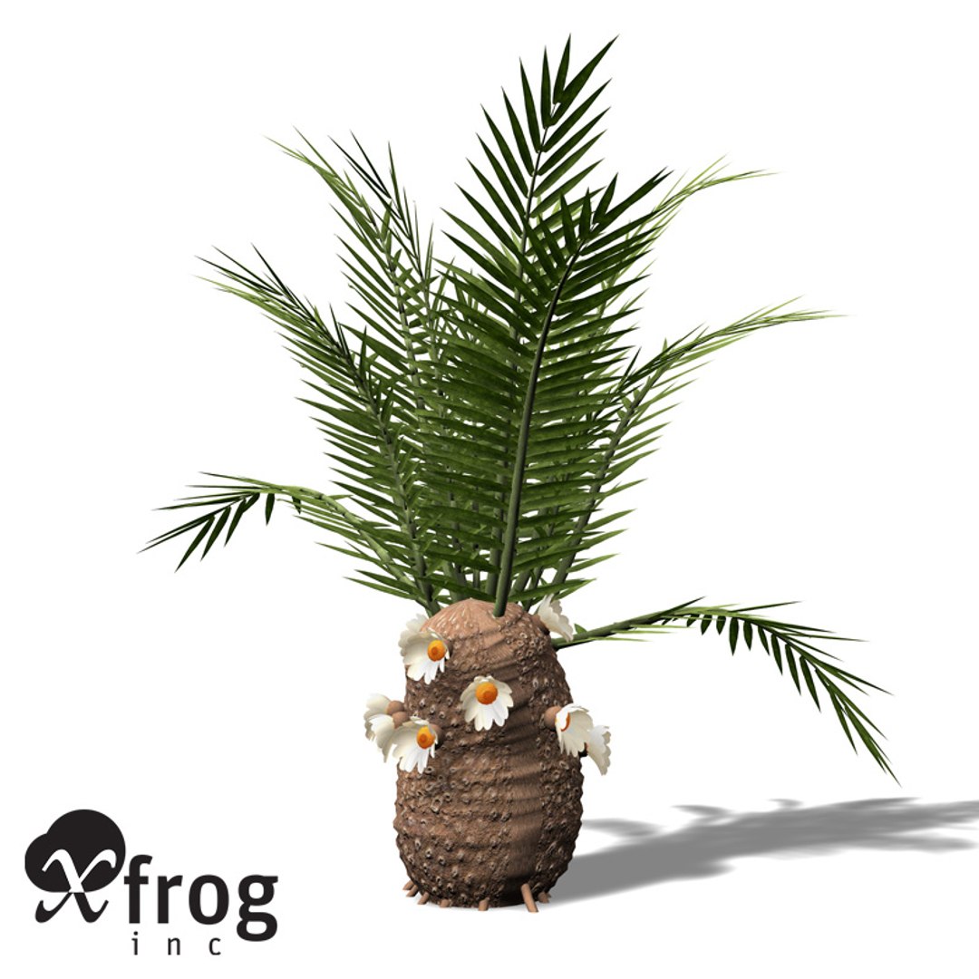 cycadeoidea gigantea plants 3d model