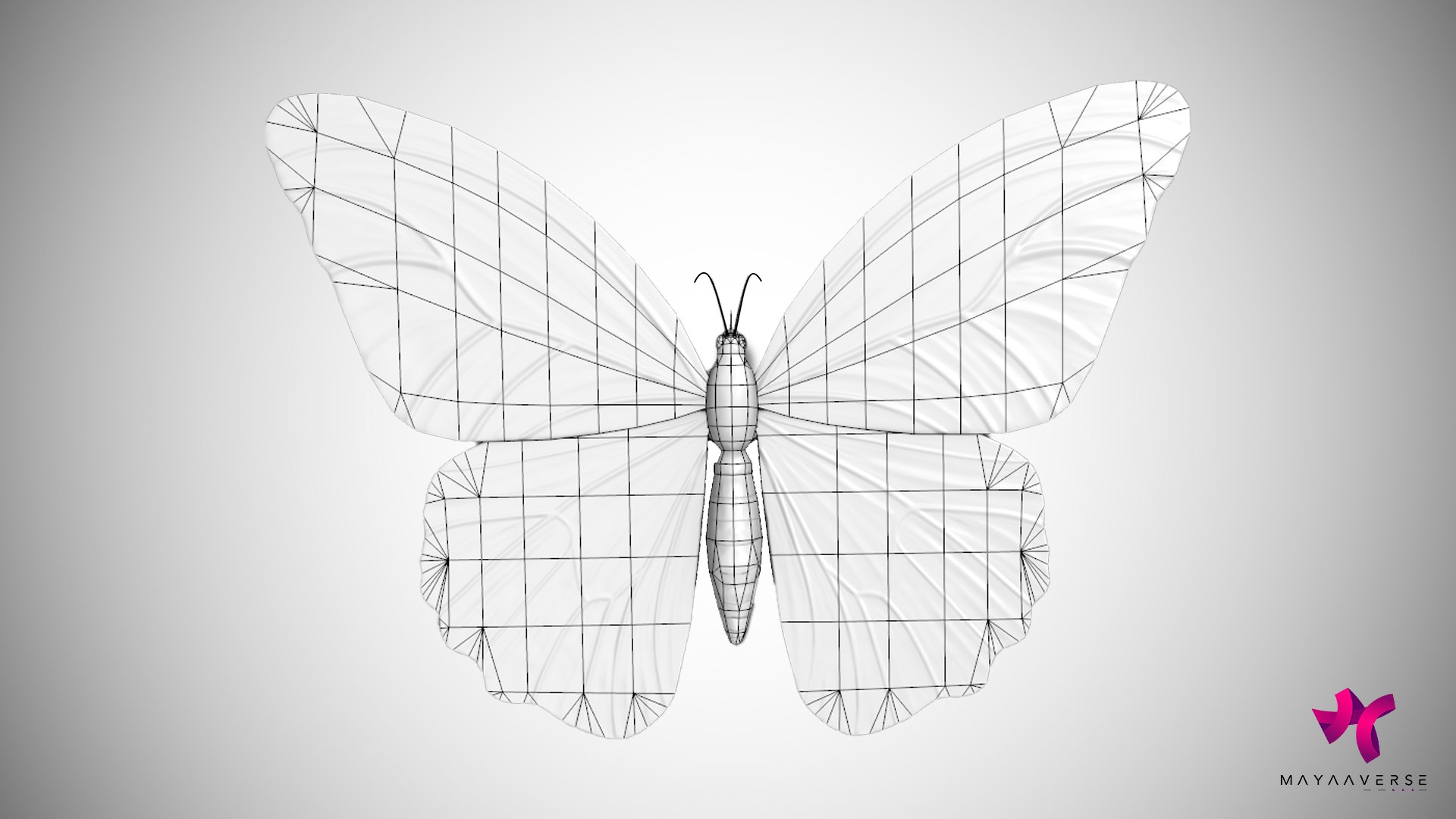 Butterfly 3D Model - TurboSquid 2382460