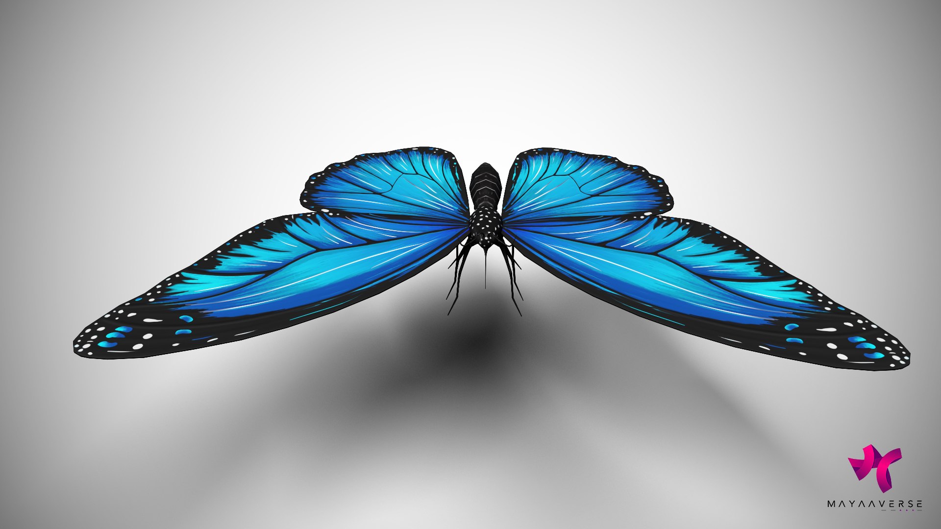 Butterfly 3D Model - TurboSquid 2382460