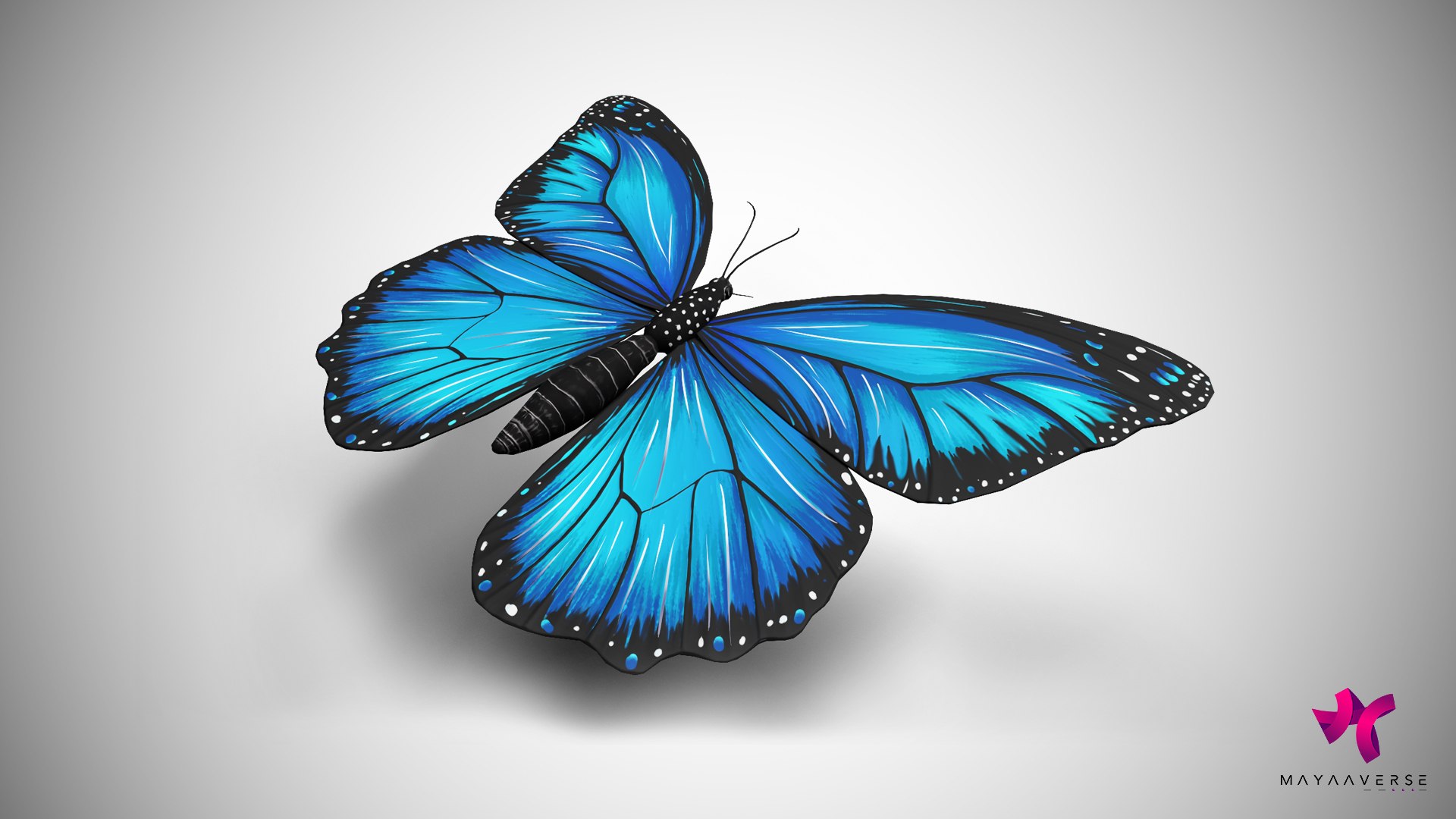 Butterfly 3D Model - TurboSquid 2382460
