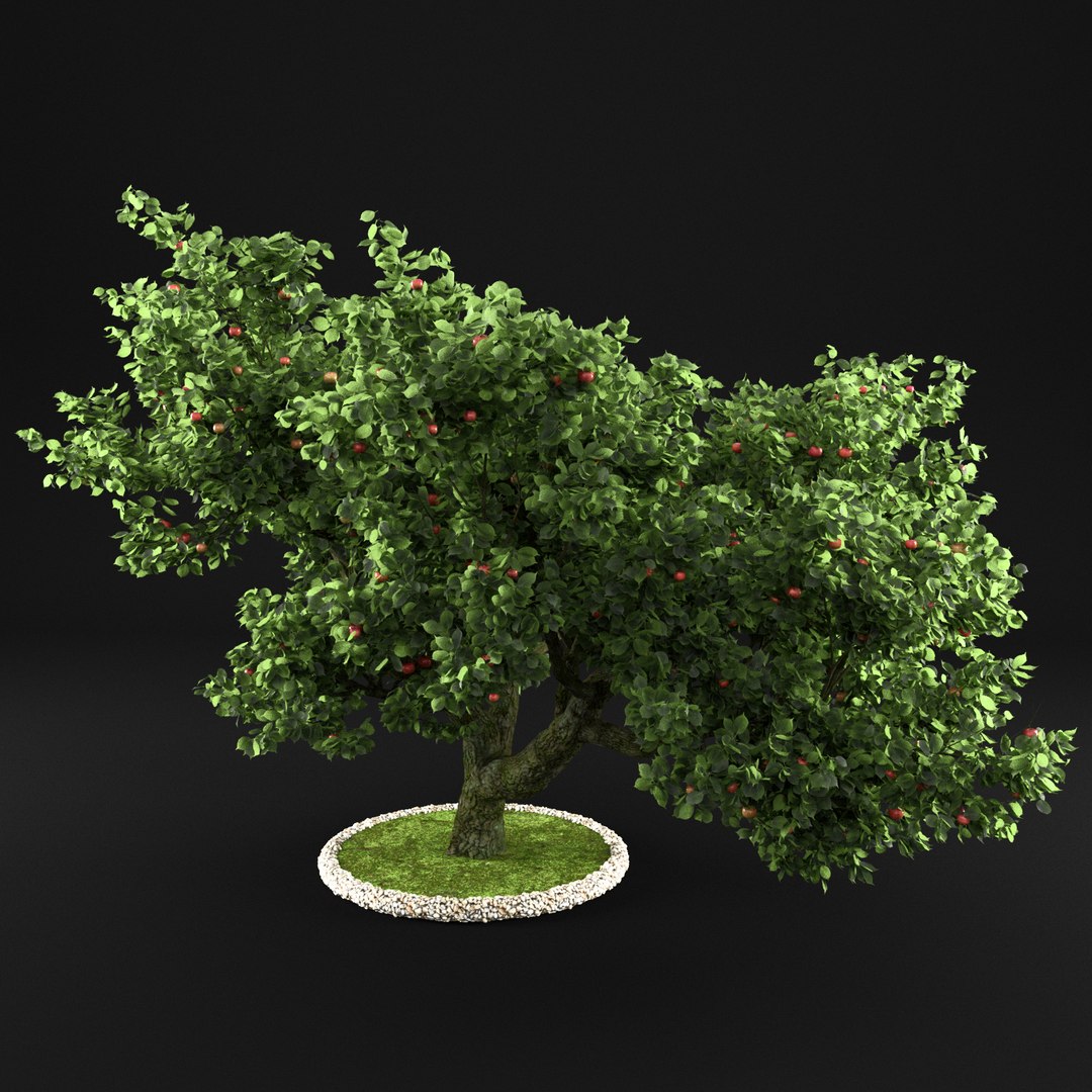 3D apple tree - TurboSquid 1159249