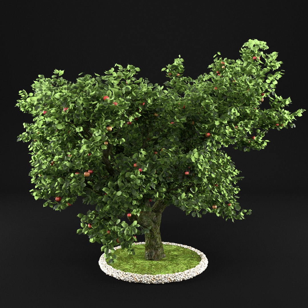 3D apple tree - TurboSquid 1159249
