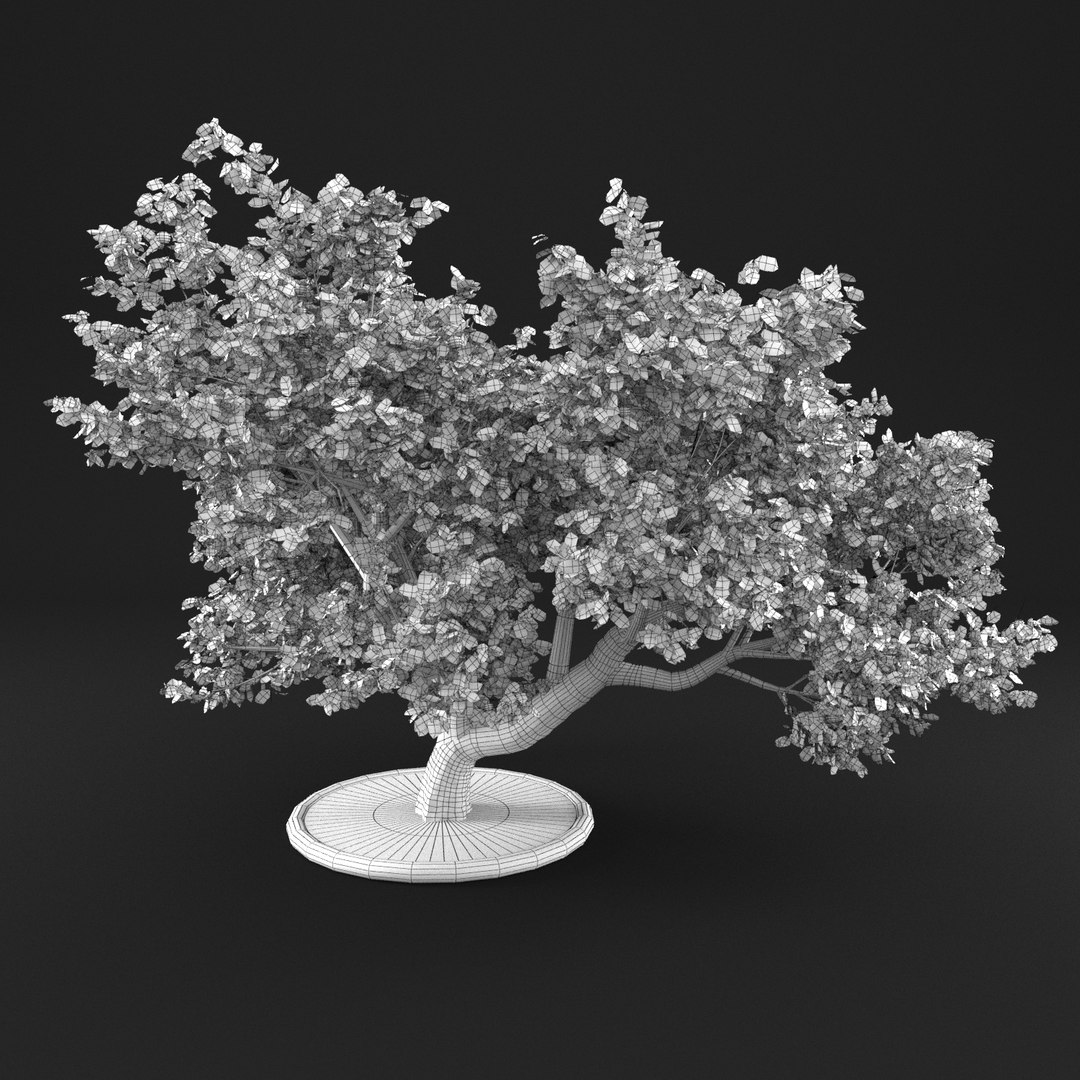 3D apple tree - TurboSquid 1159249
