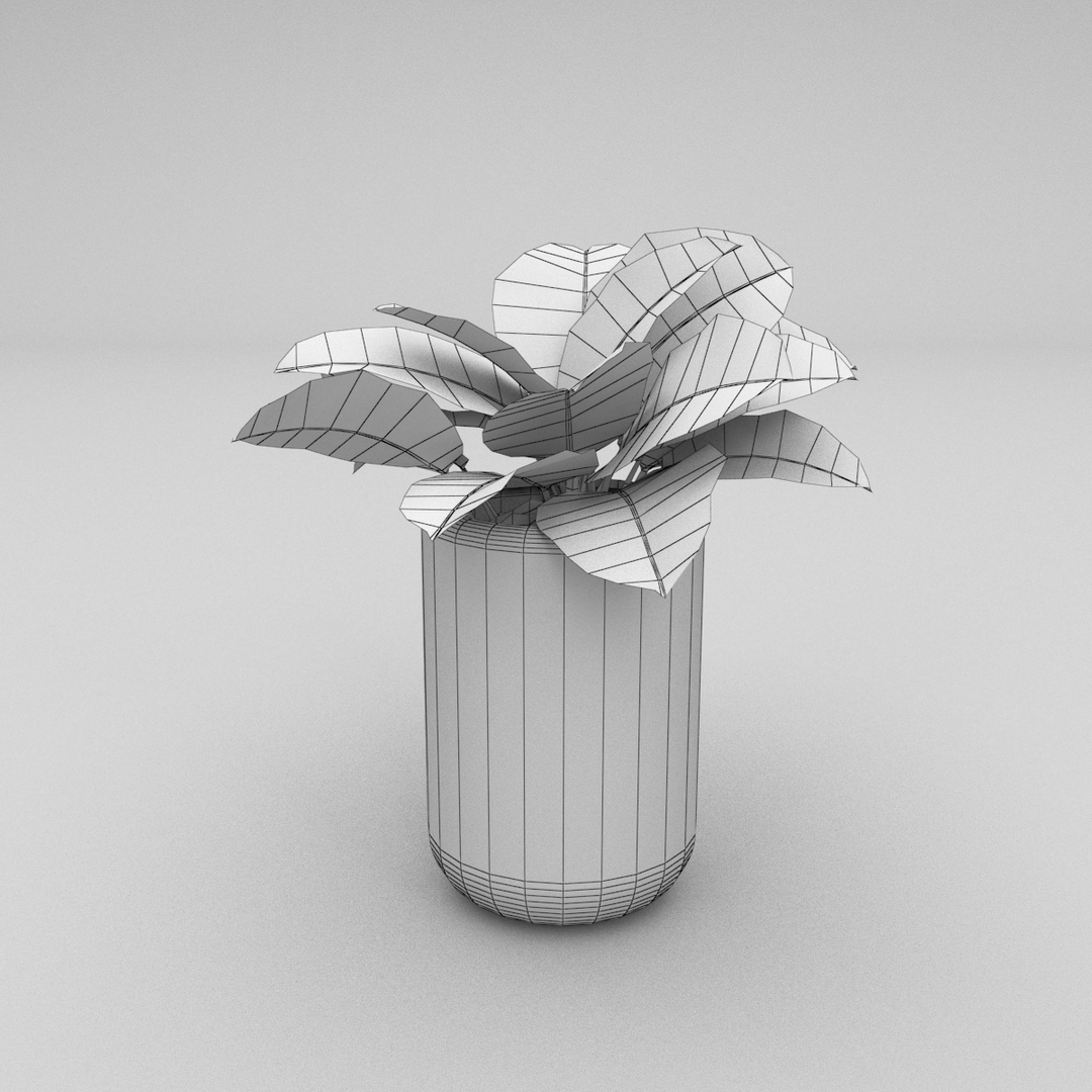 c4d plant home
