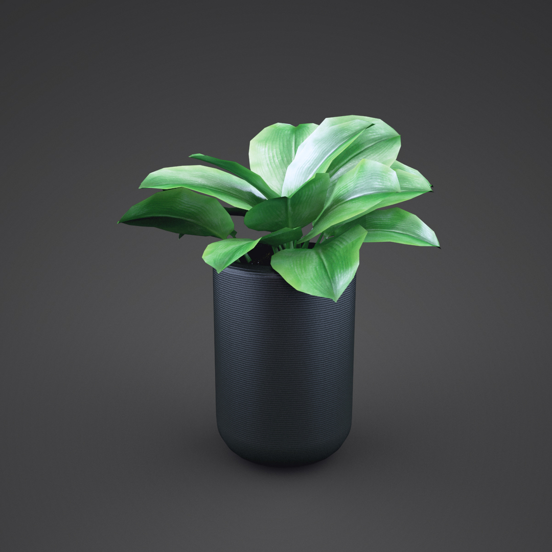 c4d plant home