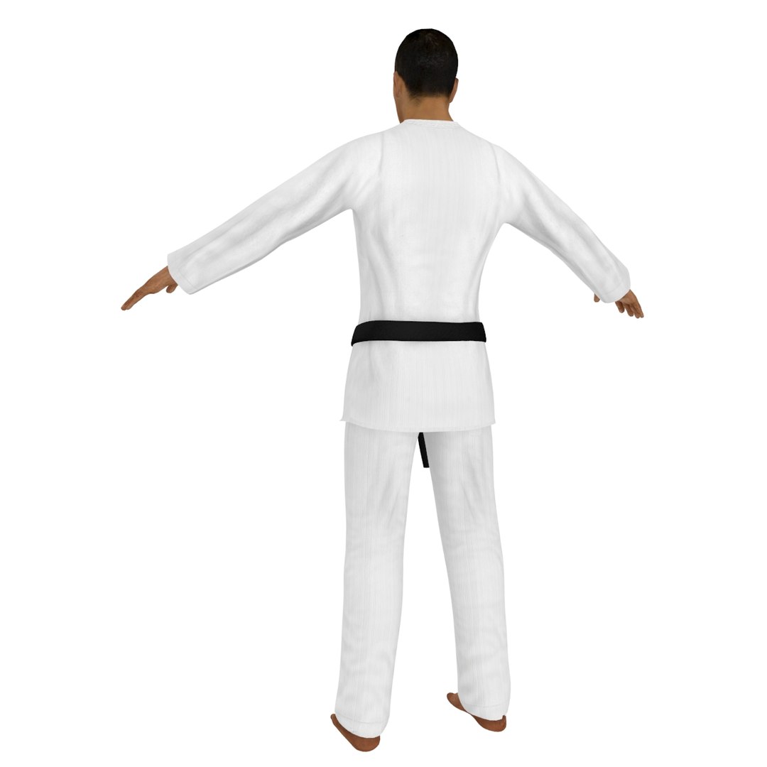 3D Rigged Karate - TurboSquid 1361130