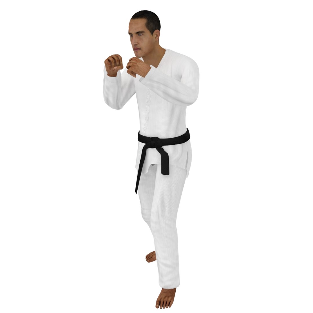 3D Rigged Karate - TurboSquid 1361130