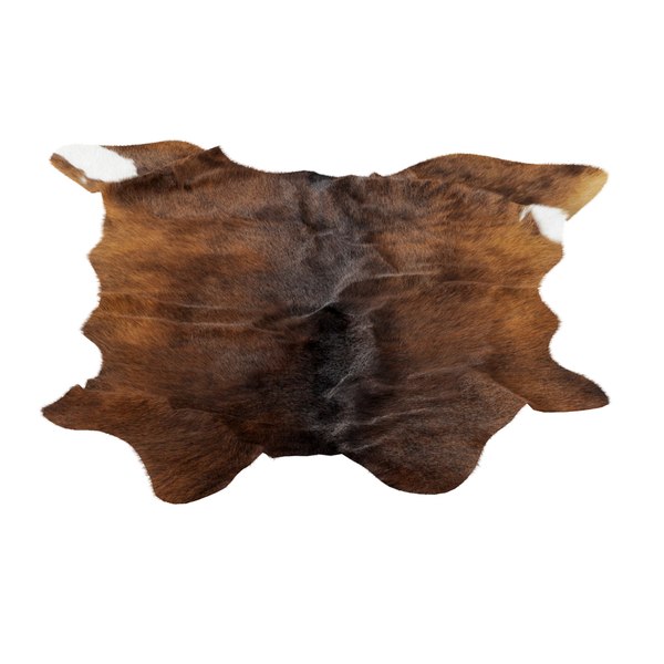 3D Animal skin rug 14 - TurboSquid 1786610