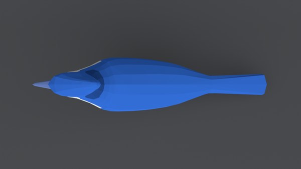 3D Low Poly Cartoon Blue Jay model - TurboSquid 1857653