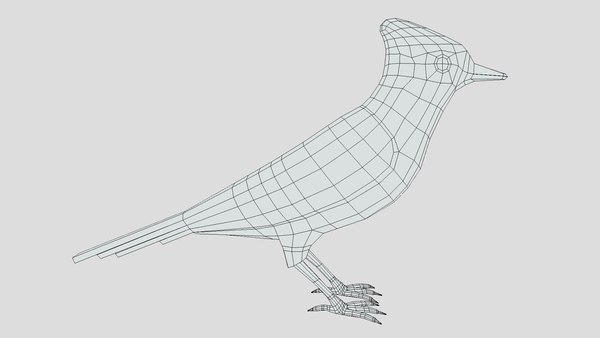 3D Low Poly Cartoon Blue Jay model - TurboSquid 1857653