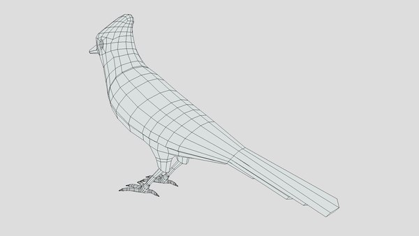 3D Low Poly Cartoon Blue Jay model - TurboSquid 1857653