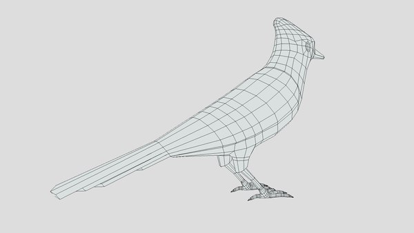 3D Low Poly Cartoon Blue Jay model - TurboSquid 1857653