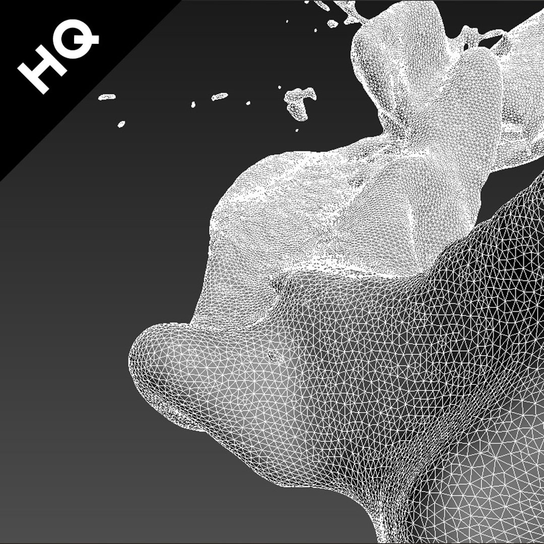 3d splash realflow flow model