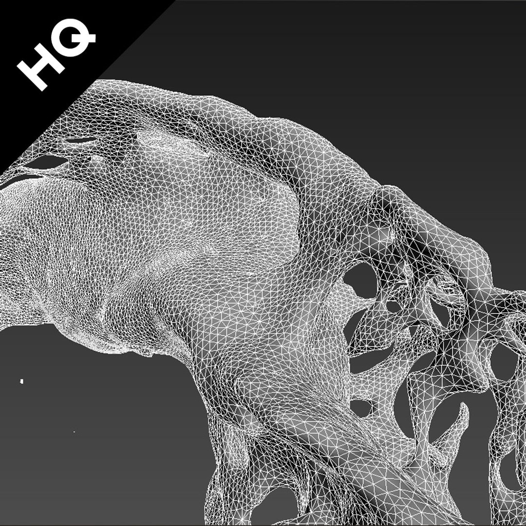 3d splash realflow flow model