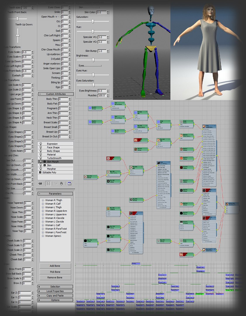 3d Max Female Character Rigging Woman Body
